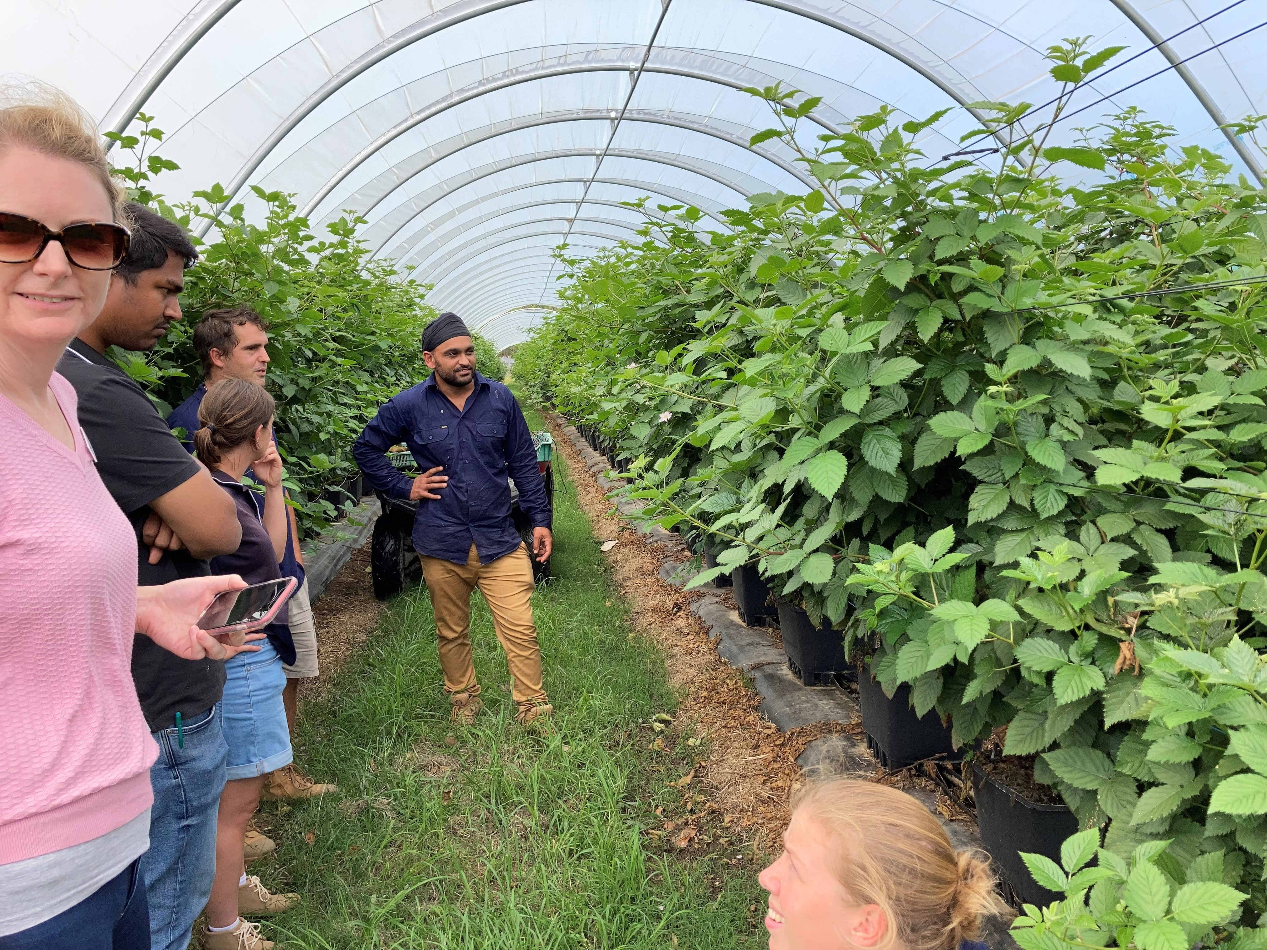 Protected Cropping Australia 2022 Conference Latest News Fruit